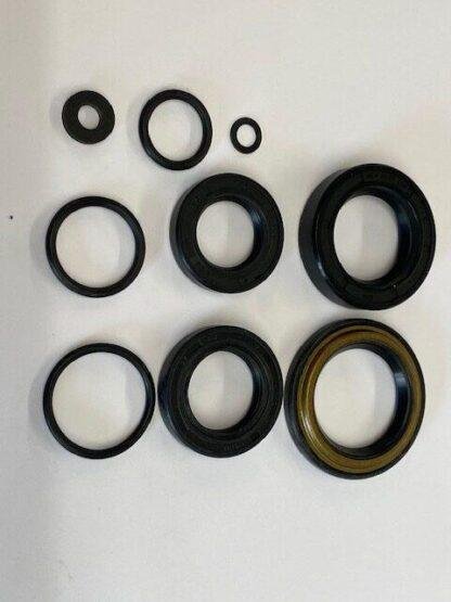 Complete engine seal set (31A 32A 33A 34A 36 37A) – Villiers Services